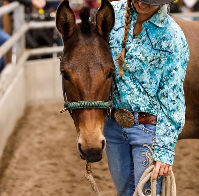 Zarah: Graduate of 2018 Trainer's Challenge (Zarah has been adopted ...