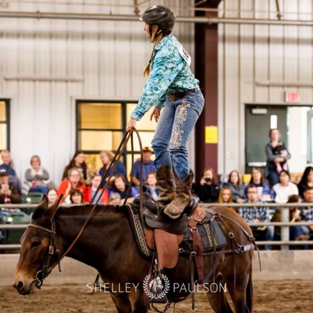 Zarah: Graduate of 2018 Trainer's Challenge (Zarah has been adopted ...