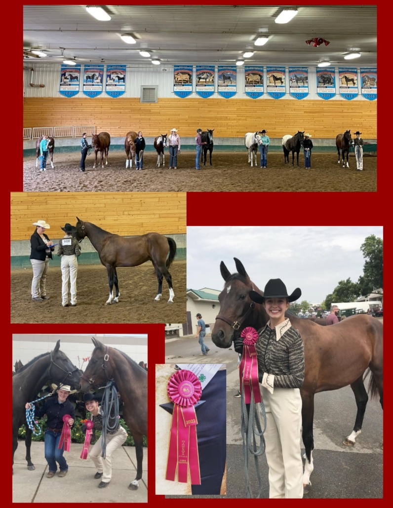 cactus jack state 4h show 2022 - Minnesota Hooved Animal Rescue Foundation