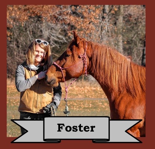 foster tab - Minnesota Hooved Animal Rescue Foundation